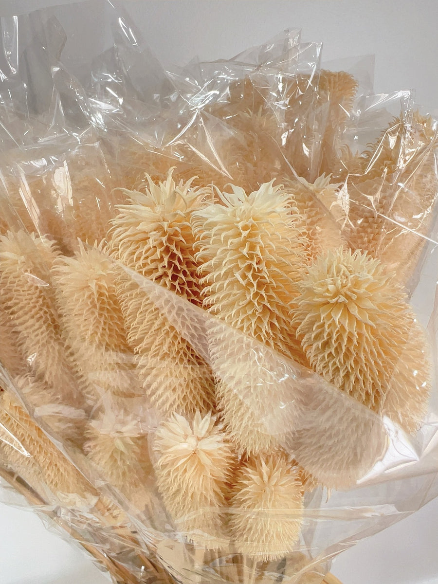 Teasel (White and Other colors) – Grace & Co Boutique